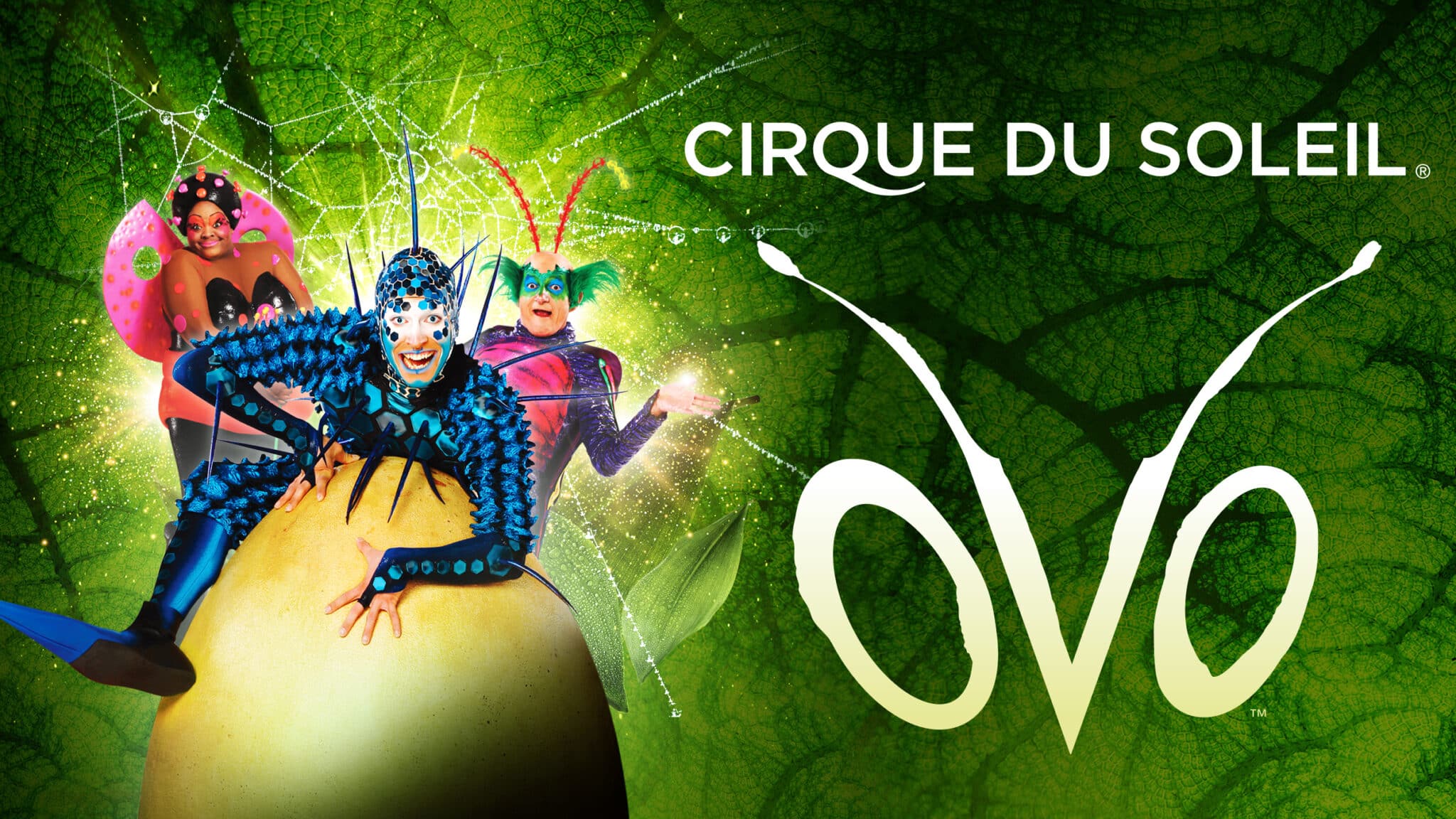 OVO by Cirque du Soleil llega a España en 2023 | Ticketmaster Blog